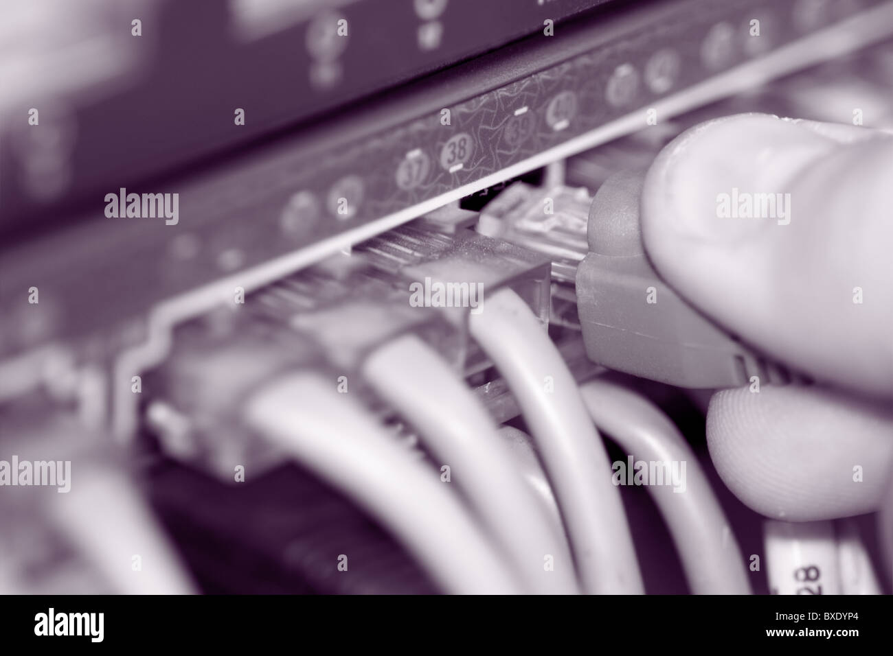 Hub with internet cables & fiber optic cables Stock Photo - Alamy