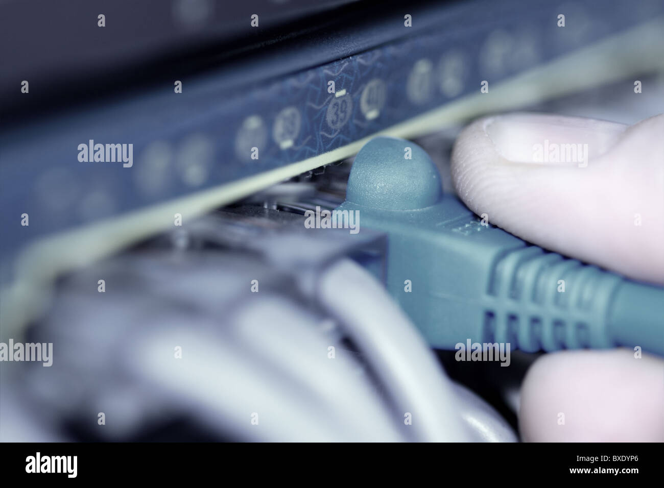 Hub with internet cables & fiber optic cables Stock Photo - Alamy