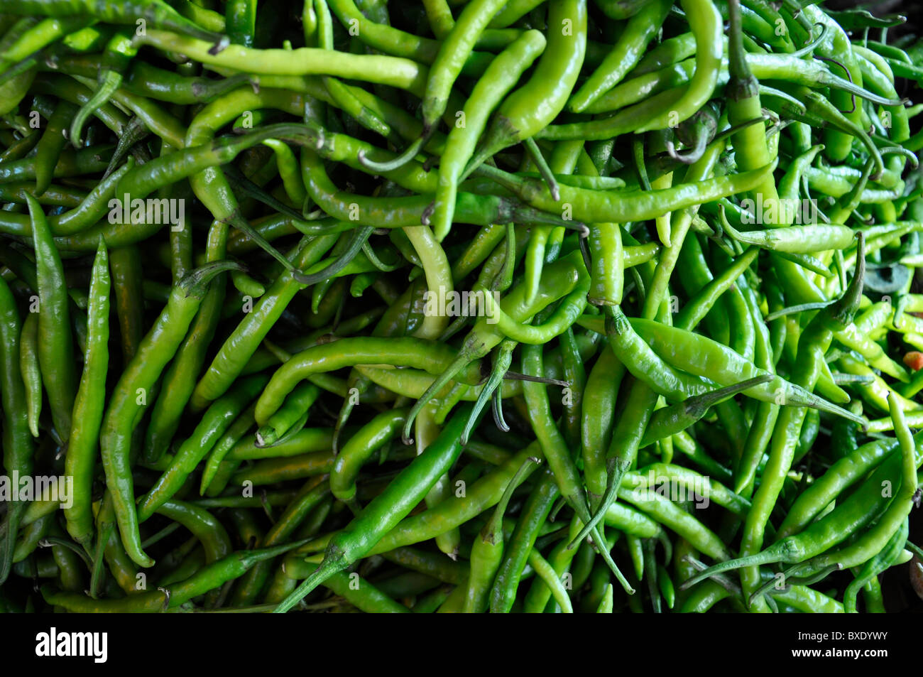 Green Chillies High Resolution Stock Photography and Images - Alamy