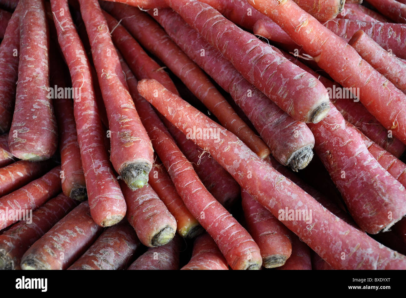 Edible roots hi-res stock photography and images - Alamy