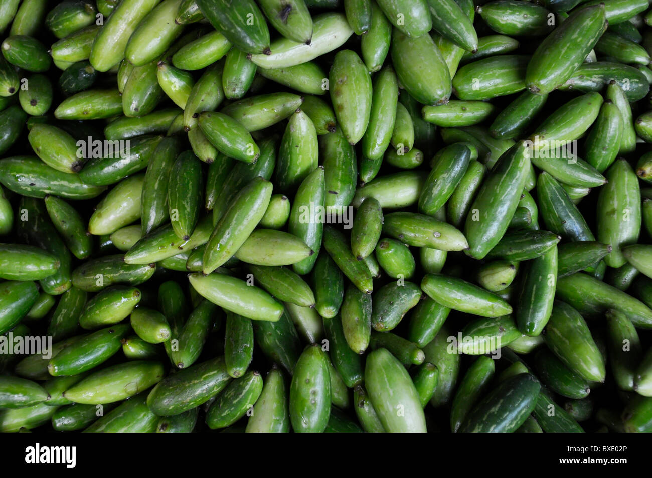 Pointed gourd hi-res stock photography and images - Alamy