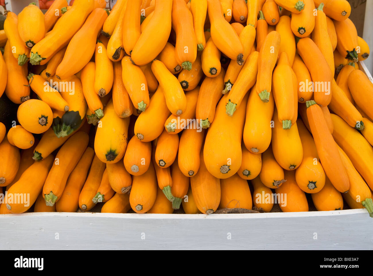 Basket of yellow zucchini Stock Photo - Alamy