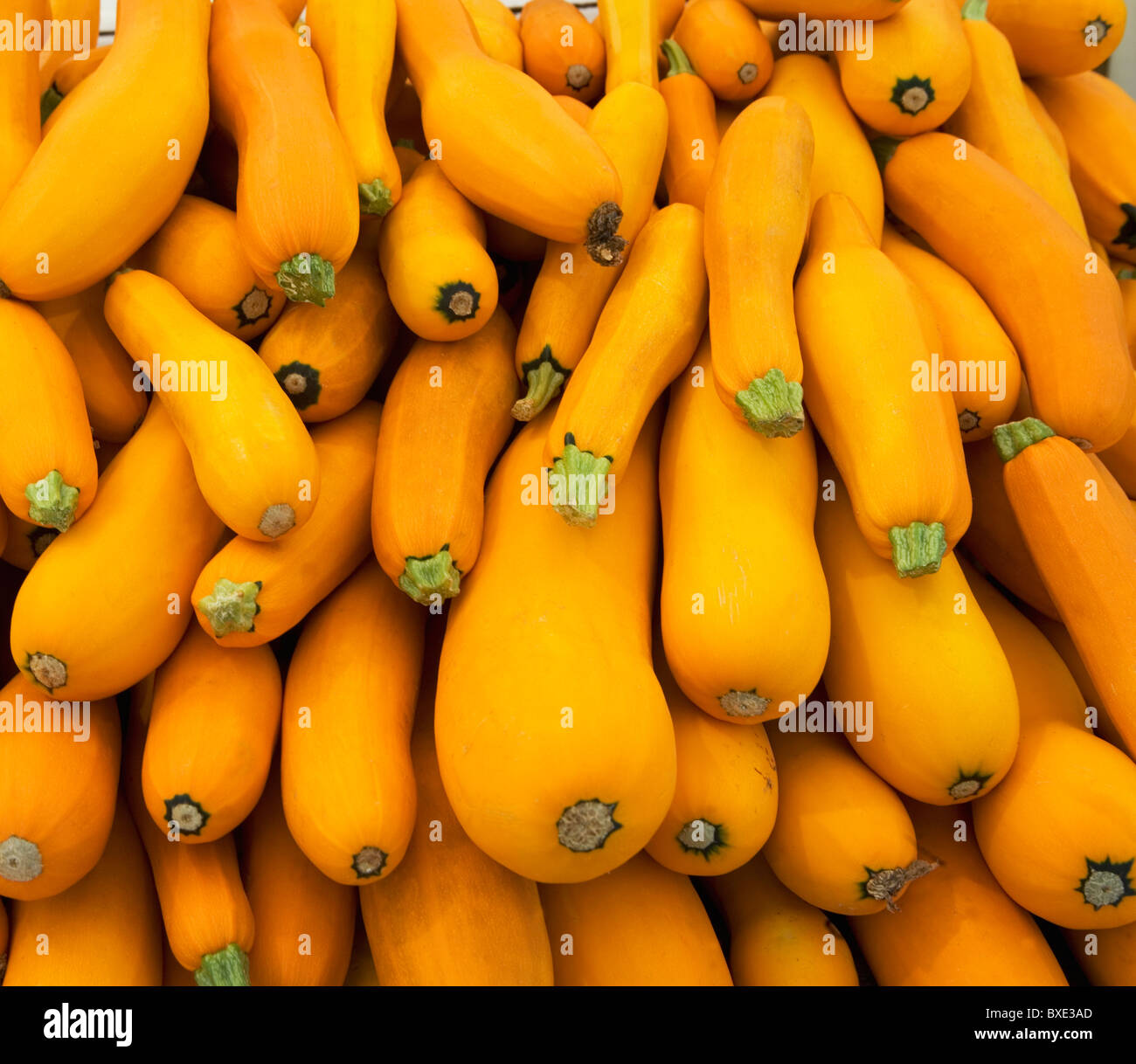 Basket of yellow zucchini Stock Photo - Alamy
