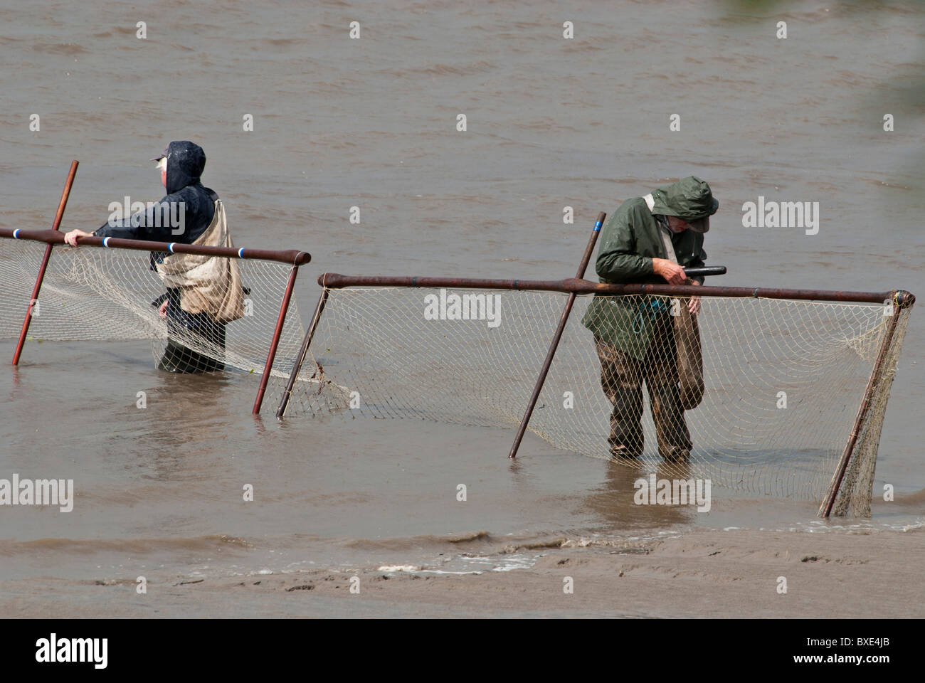 2 men Haaf netting for Salmon on River Nith estuary Glencaple, Dumfries ...
