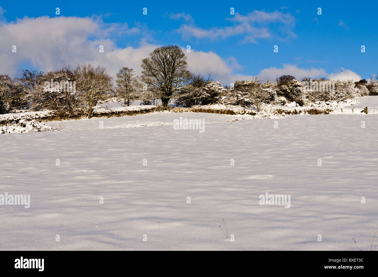 Snow covered rural field Stock Photo - Alamy