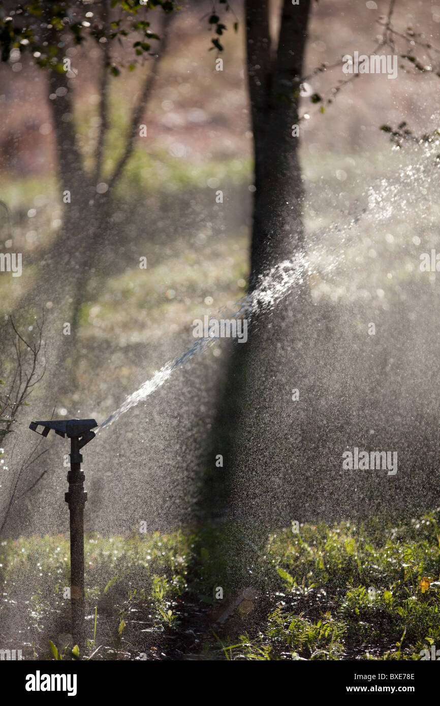 Spraying fall hi-res stock photography and images - Alamy