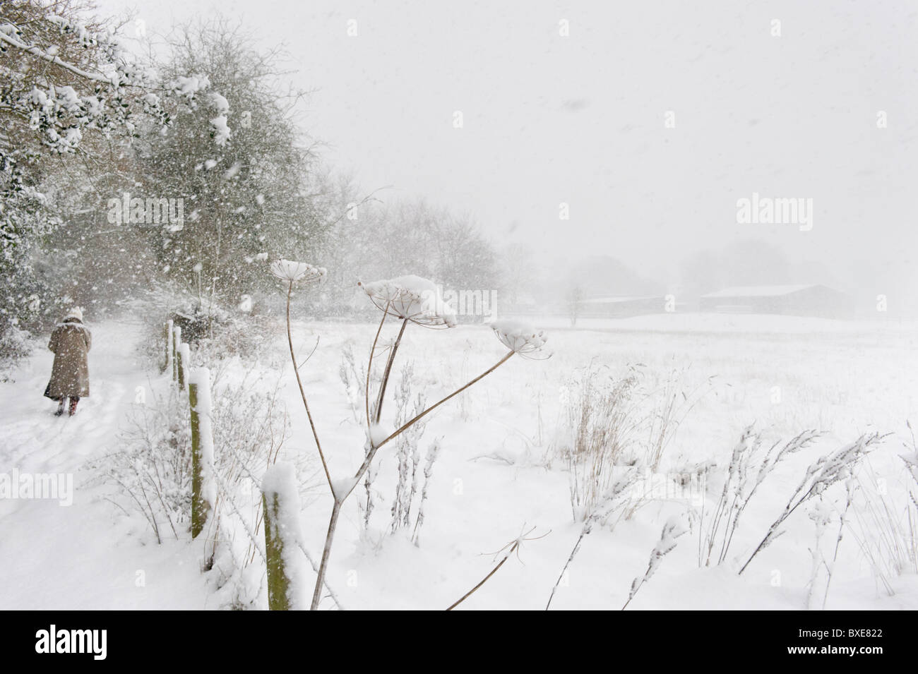 Falling heavy snow and blizzard conditions in the Chilterns rural ...