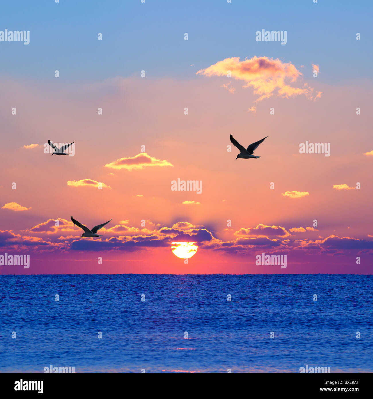 Red rising sun hi-res stock photography and images - Alamy