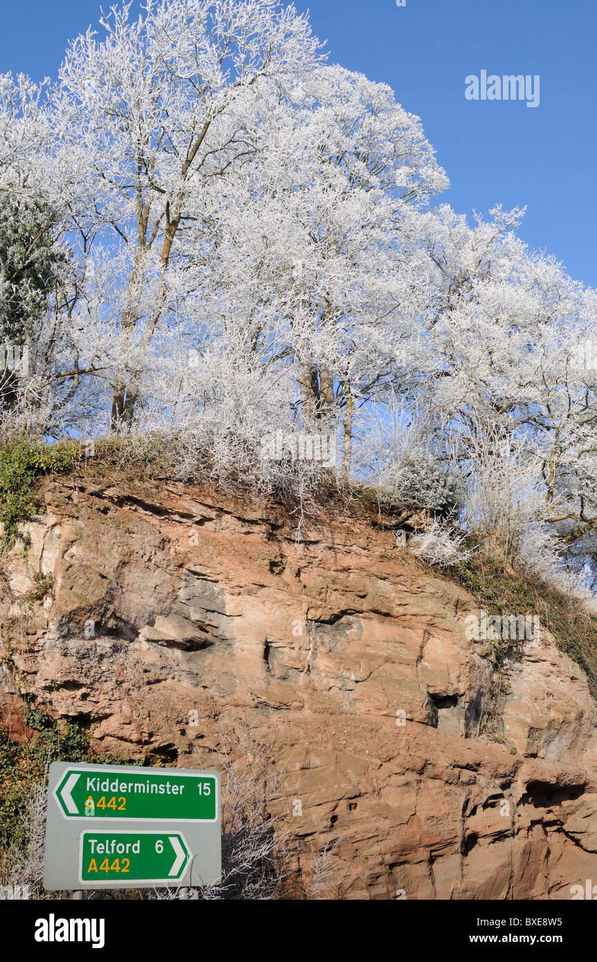 Holly leaf sign hi-res stock photography and images - Alamy