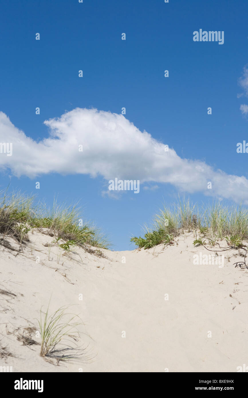 Waterfront dune hi-res stock photography and images - Alamy