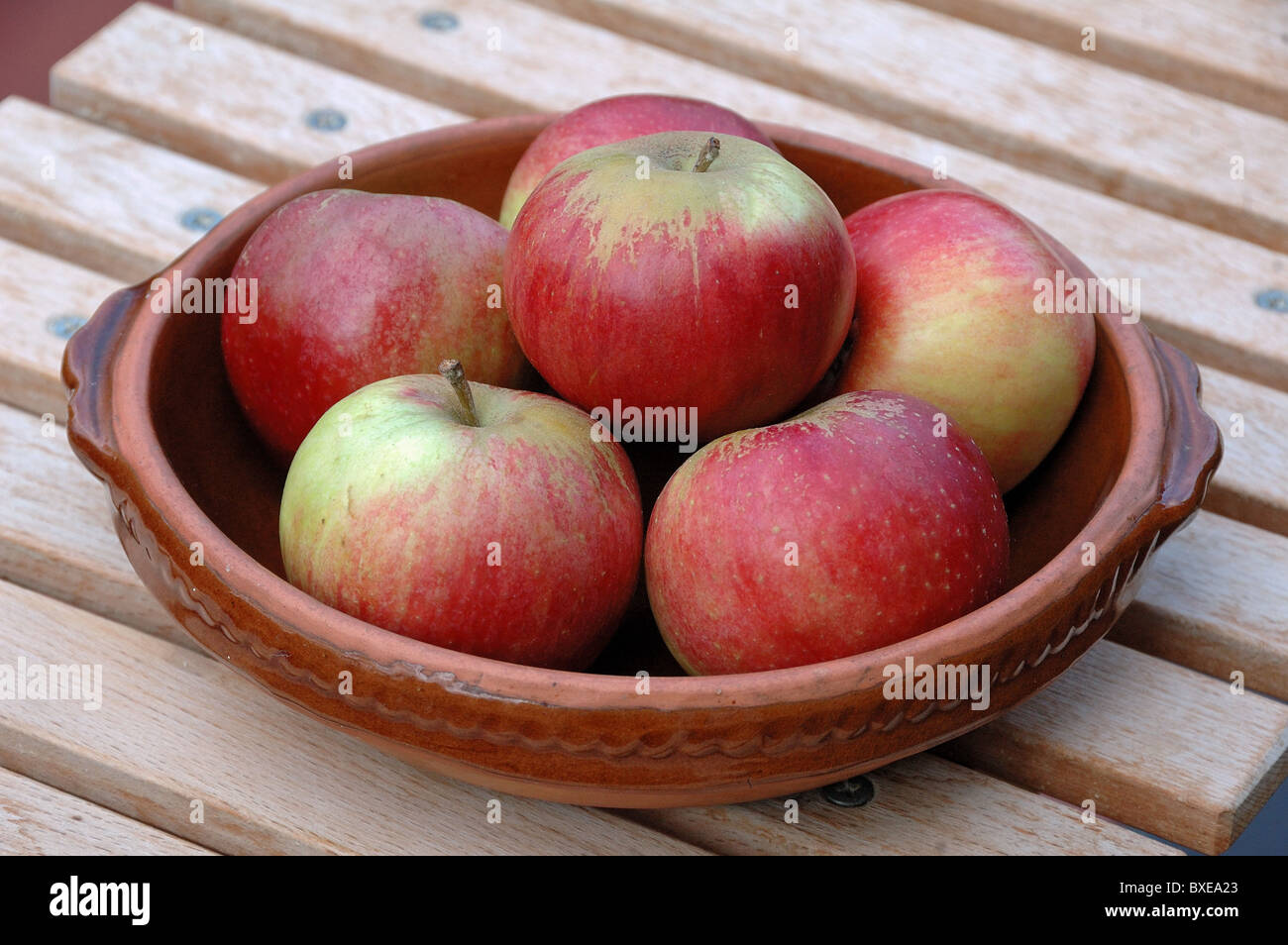 Apples worcester pearmain hi-res stock photography and images - Alamy
