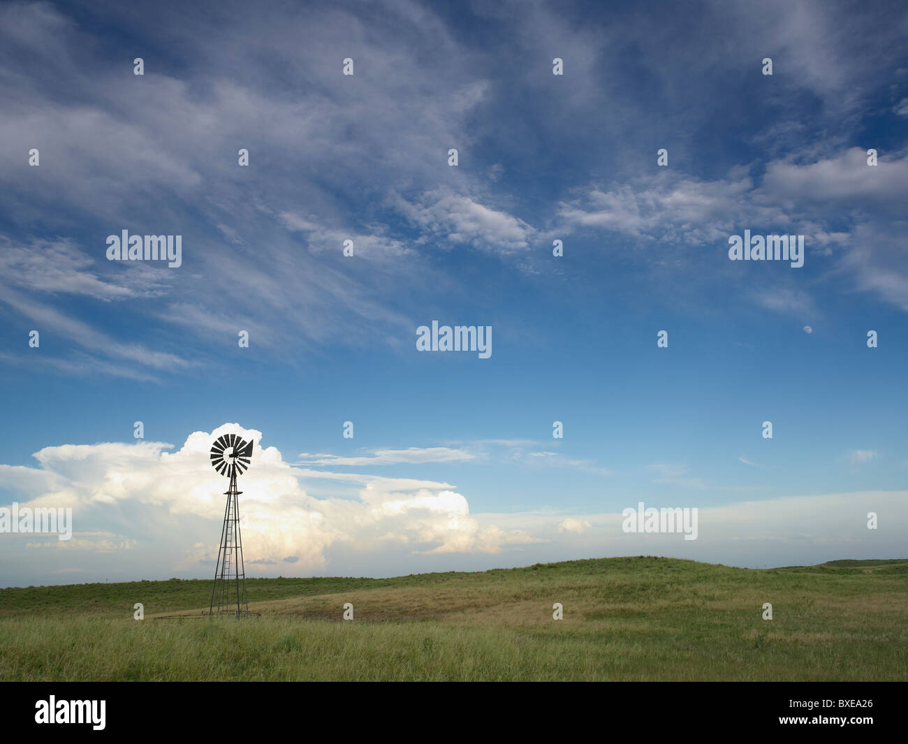 Windmill in field Stock Photo - Alamy