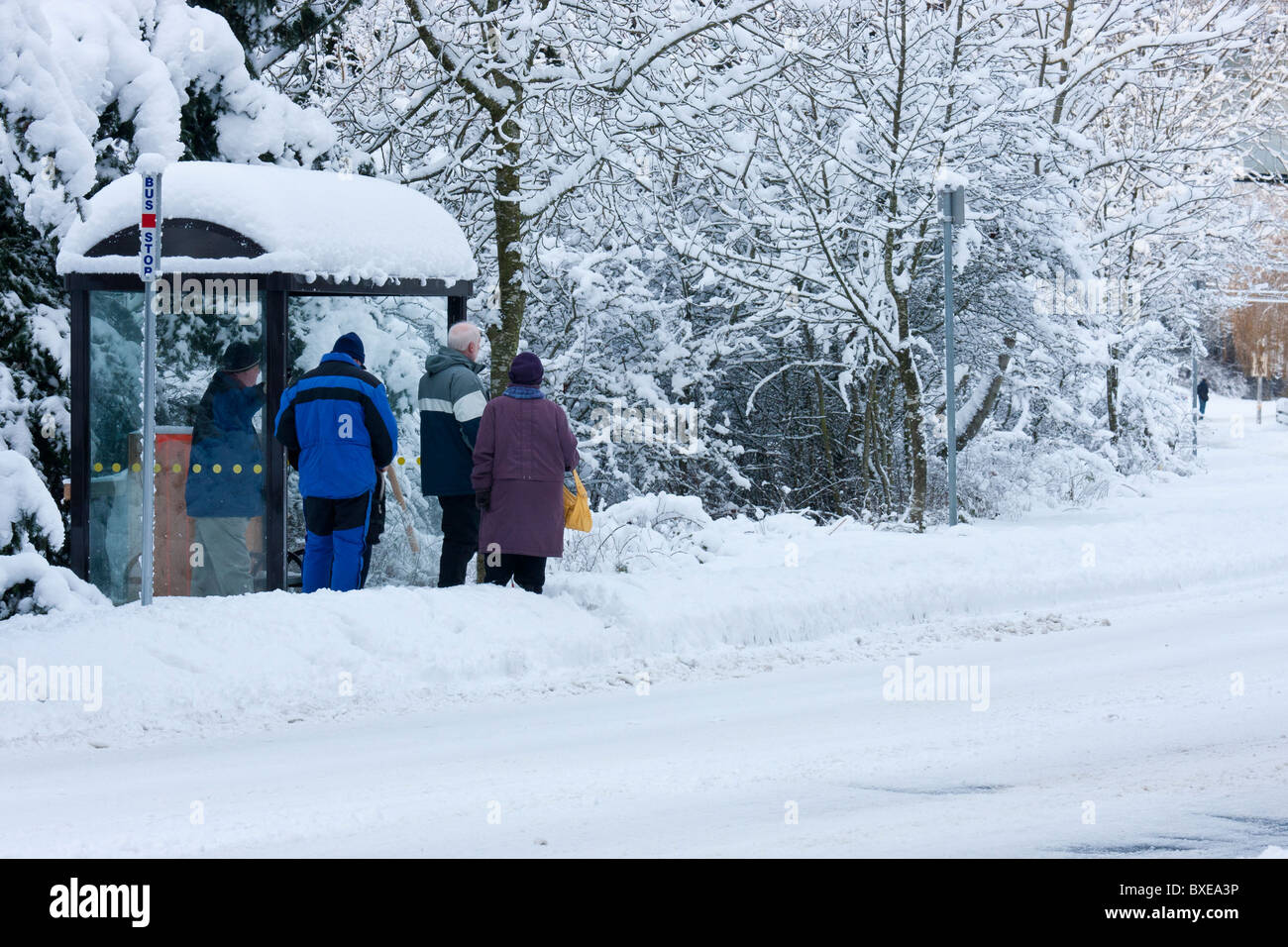 Commuters waiting at bus stop after winter blizzard-Victoria, British ...