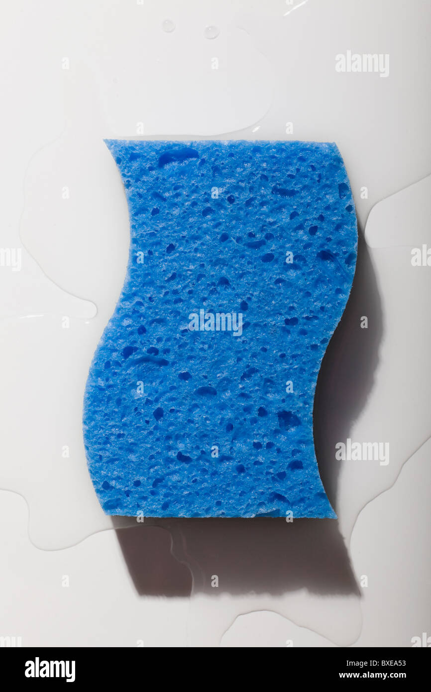 Blue sponge hi-res stock photography and images - Alamy