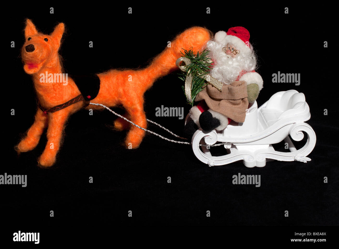 New fox hi-res stock photography and images - Alamy