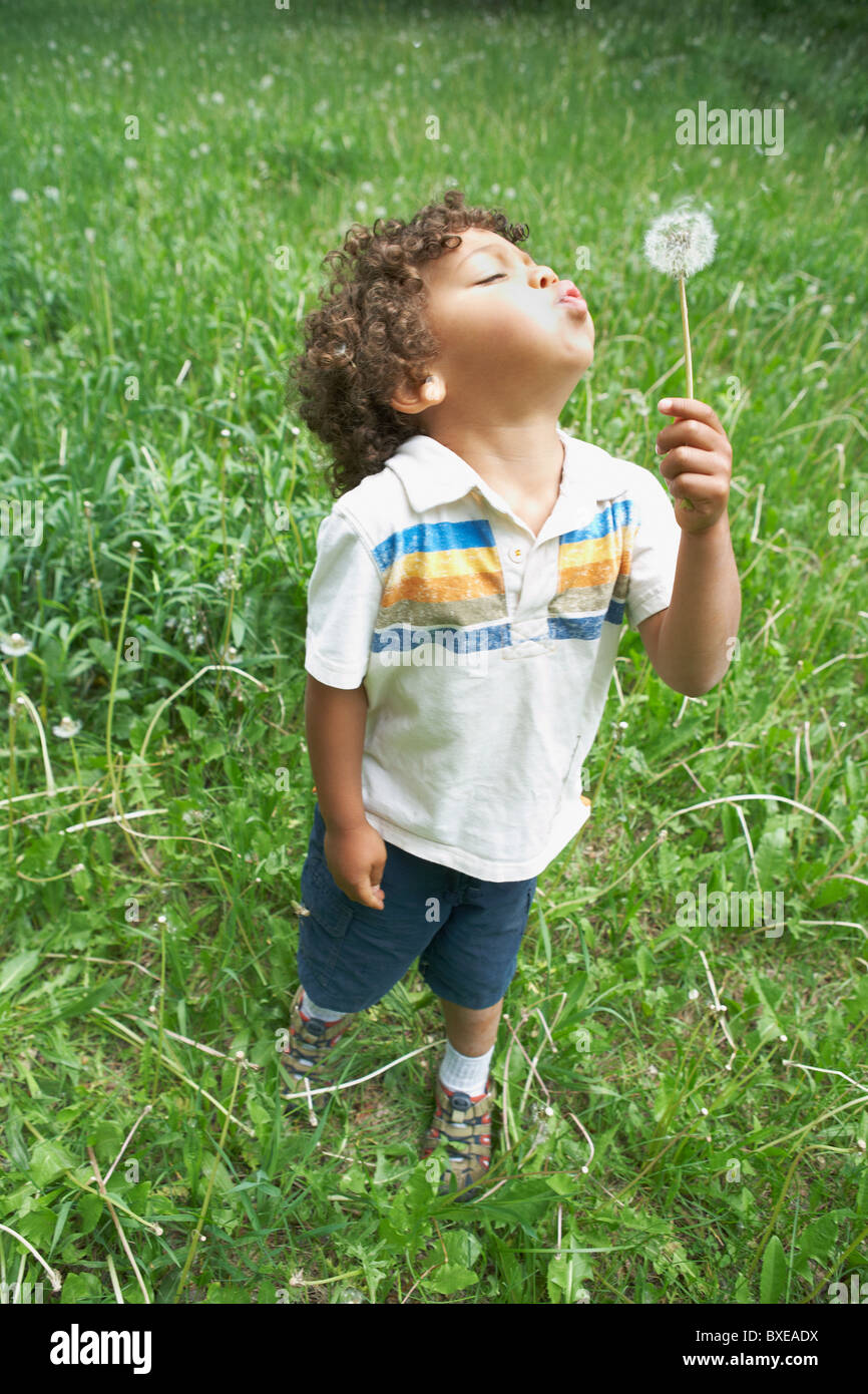 Young child blowing dandelion seed head Stock Photo - Alamy