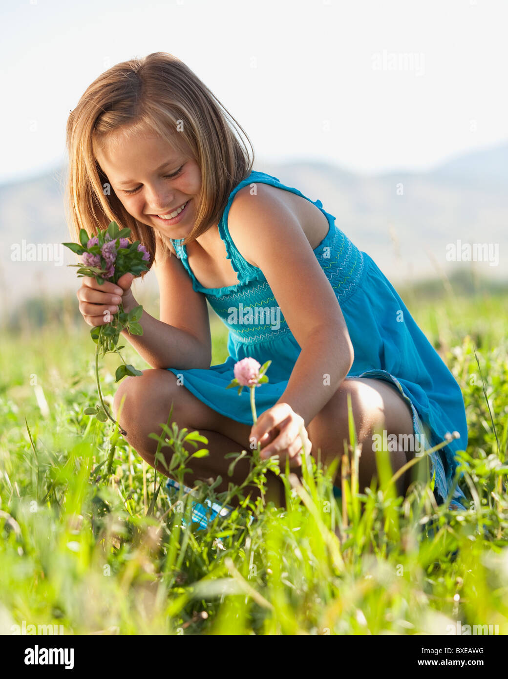 Young girl picking clover Stock Photo - Alamy