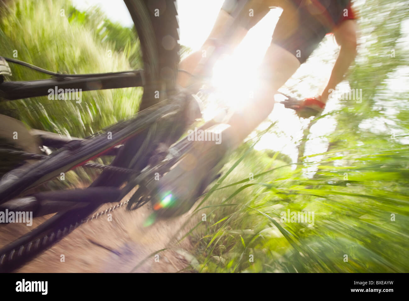 Track lighting hi-res stock photography and images - Alamy