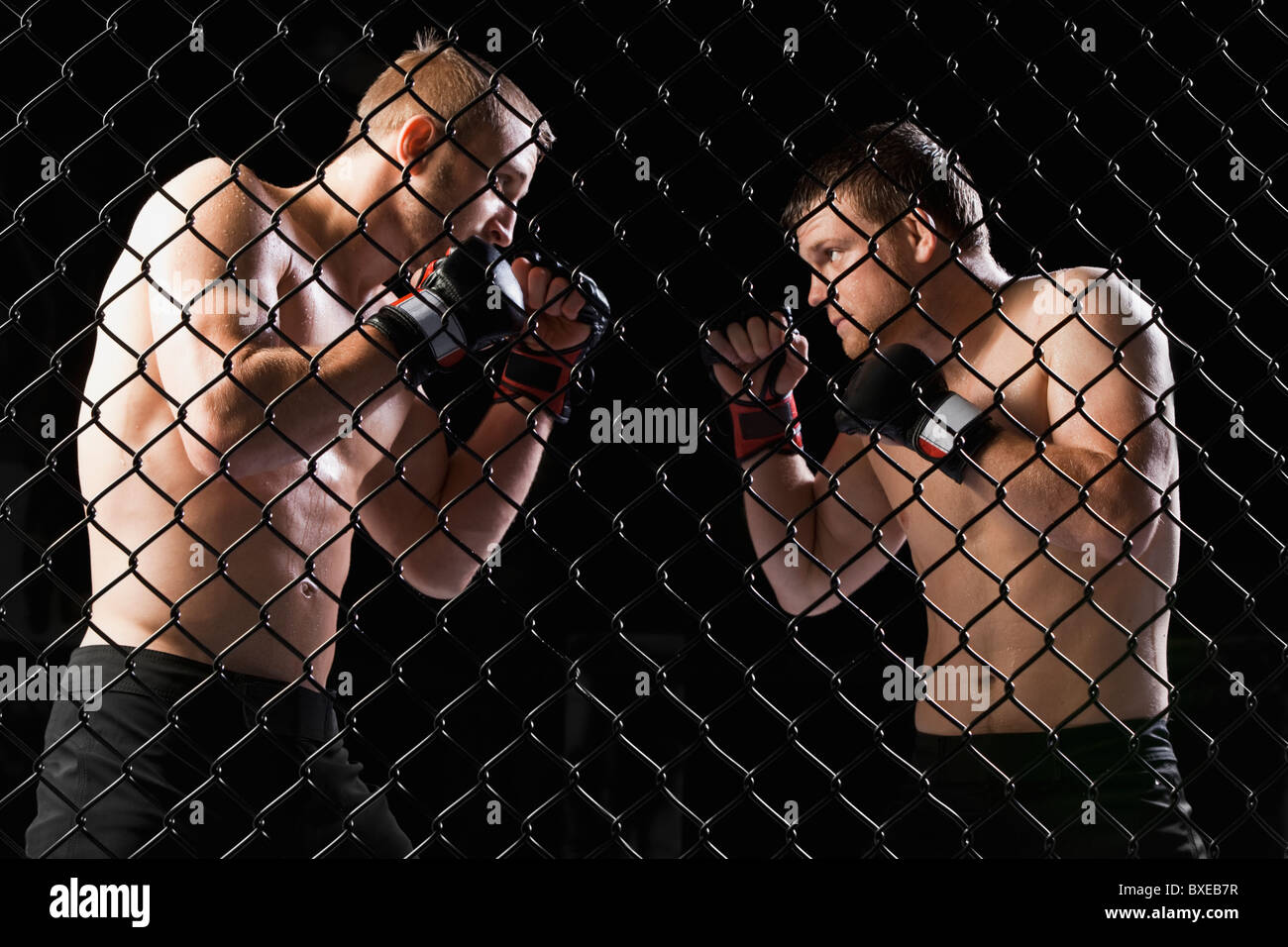 Mma cage hi-res stock photography and images - Alamy