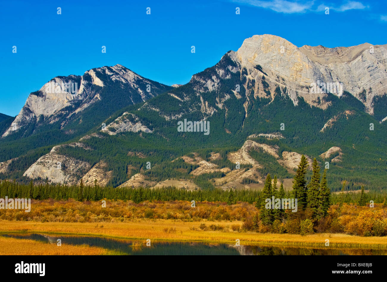 A landscape image of Roche LaRonde in Jasper National Park Stock Photo ...