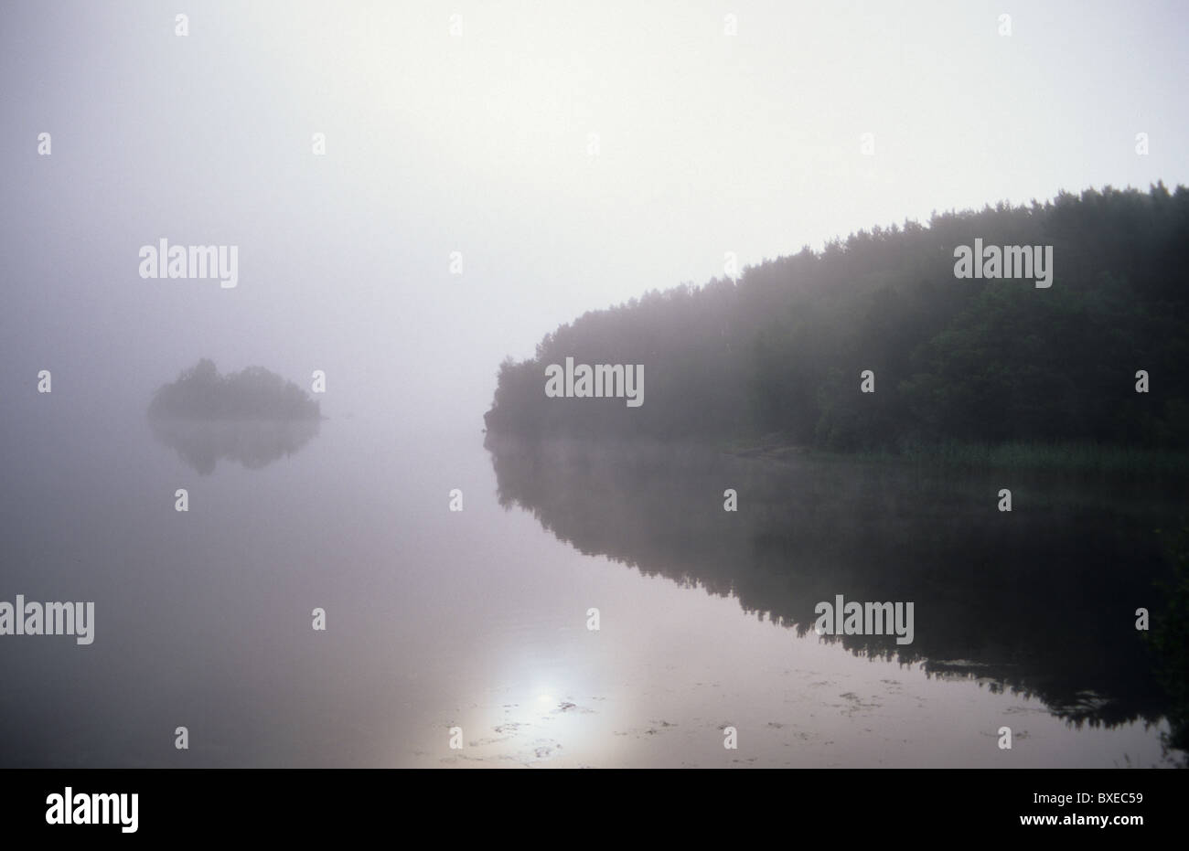 Fog over still water Stock Photo - Alamy