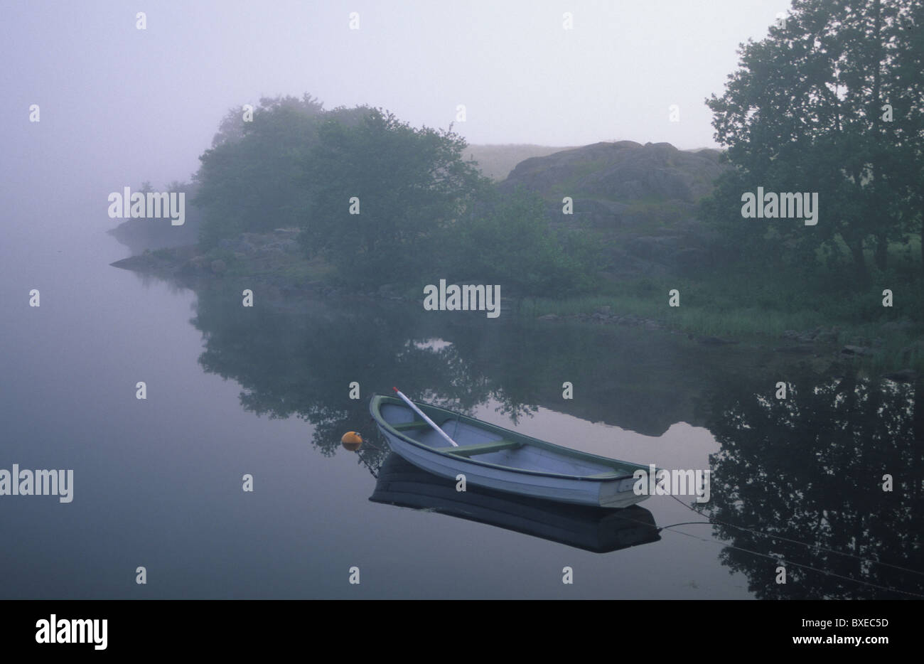 Small boat on still water, nature, landscape, untouched nature Stock ...