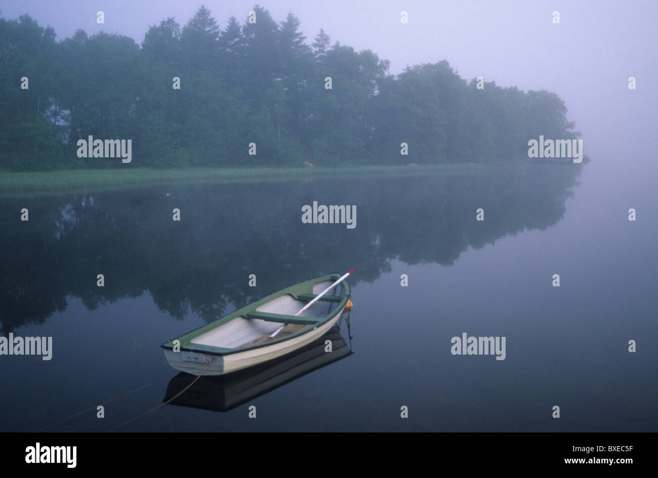 Small boat on still water, nature, landscape, untouched nature Stock ...