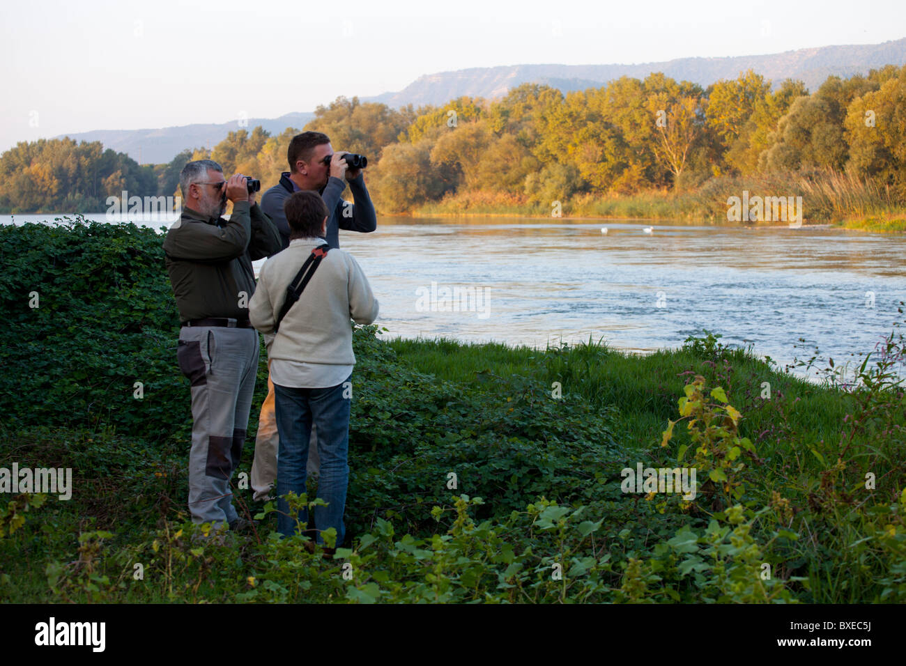 Birdwatching Catalonia Spain Ebro river birds Stock Photo - Alamy