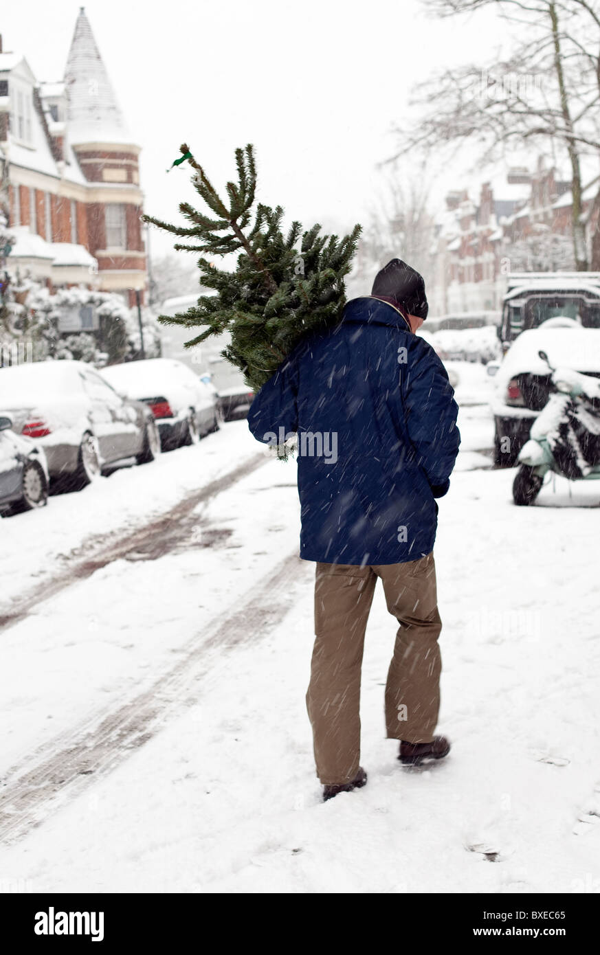 Man carry xmas tree hi-res stock photography and images - Alamy