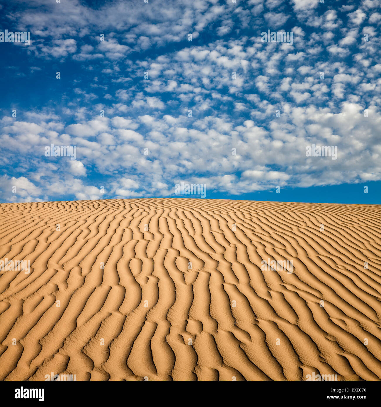 Pattern in the sand hi-res stock photography and images - Alamy