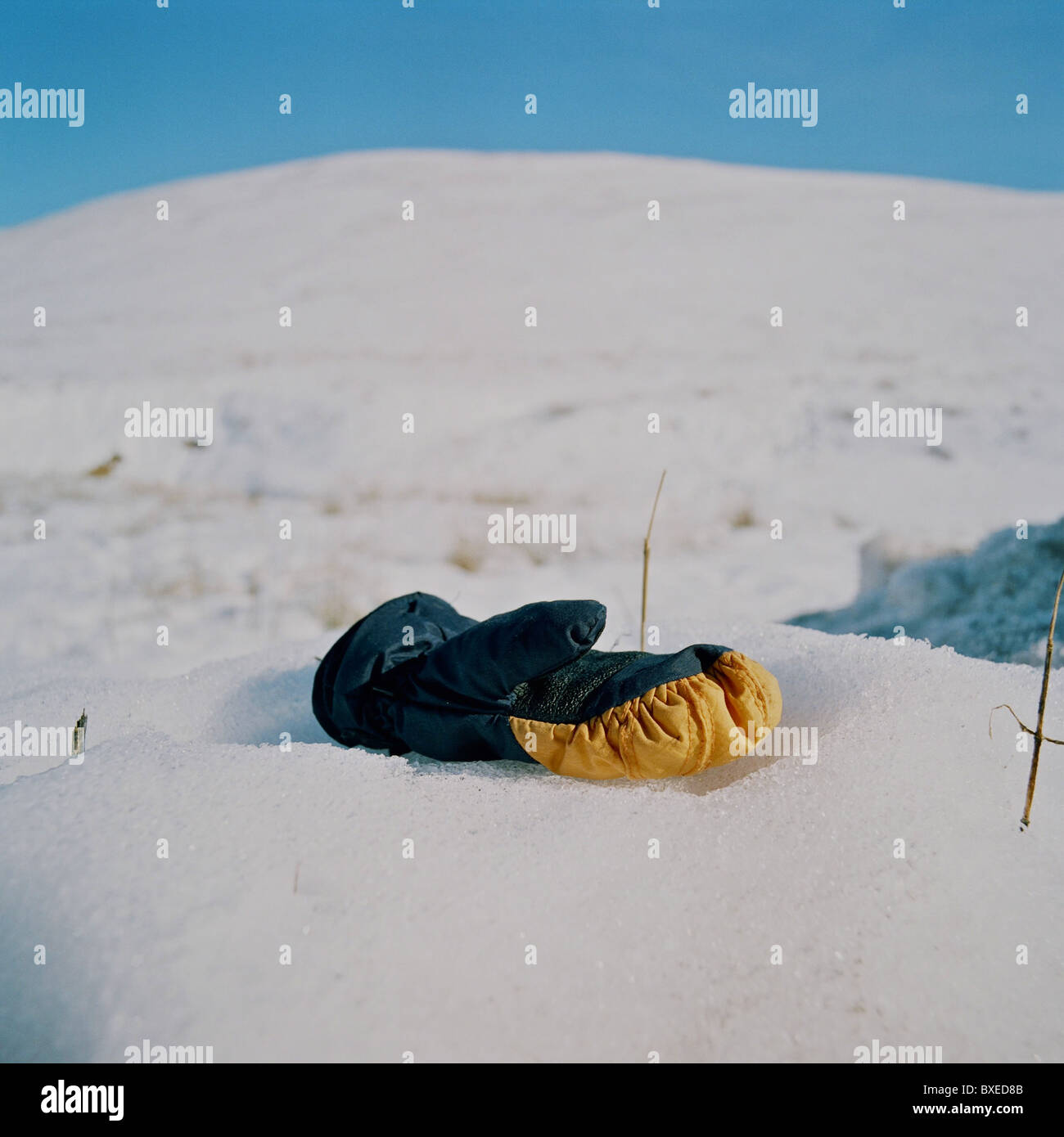 Lost thermal glove hi-res stock photography and images - Alamy