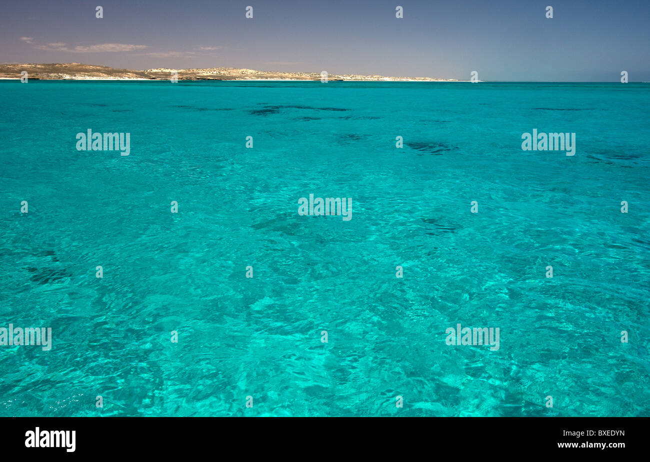 Warm turquoise waters of the reef lagoon of Coral Bay and Ningaloo reef ...