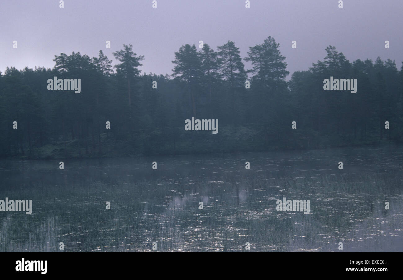 Still Water. reflection in water, trees, nature, Landscape Stock Photo ...