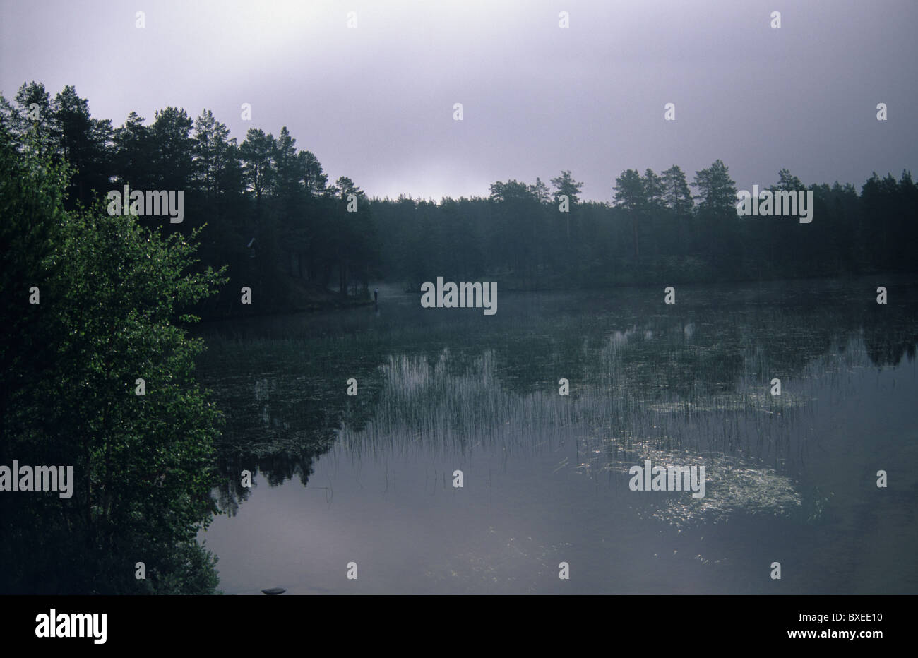 Still Water. reflection in water, trees, nature, Landscape Stock Photo ...