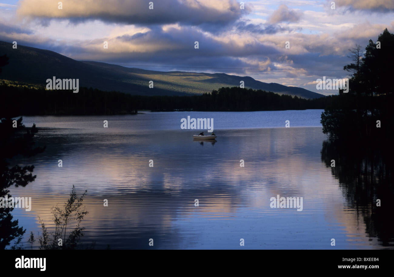 Still Water. reflection in water, trees, nature, Landscape Stock Photo ...