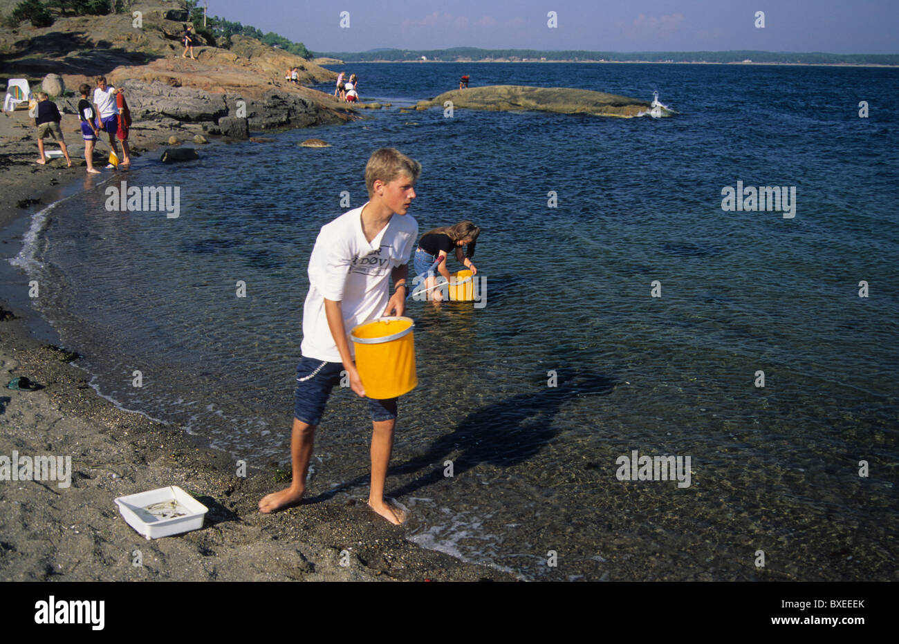 Teen agers studying life in the sea Stock Photo - Alamy