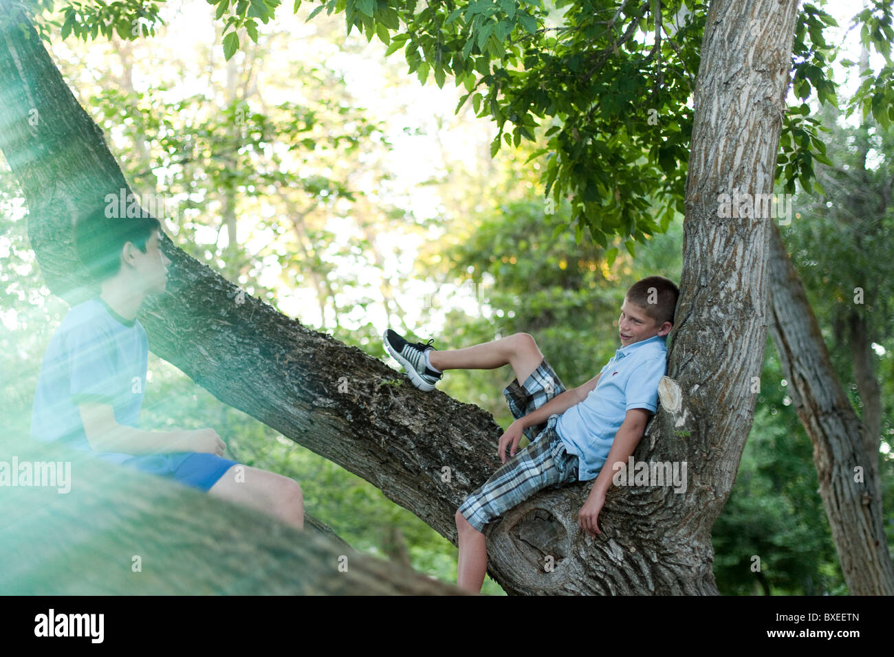 Two boys sitting in a tree Stock Photo - Alamy