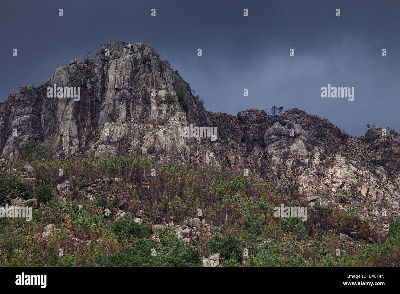 Granite cliff hi-res stock photography and images - Alamy