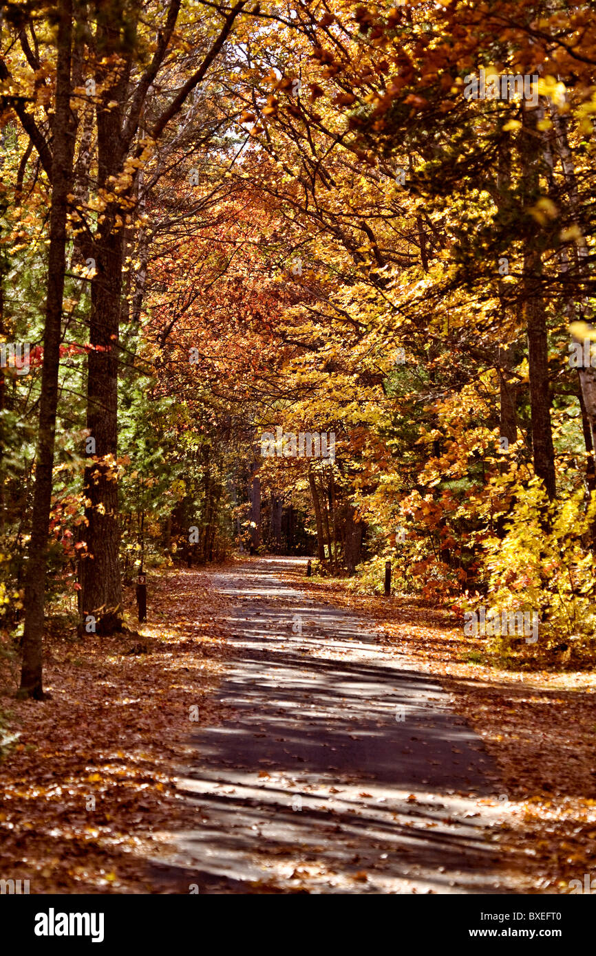 Michigan colors hi-res stock photography and images - Alamy
