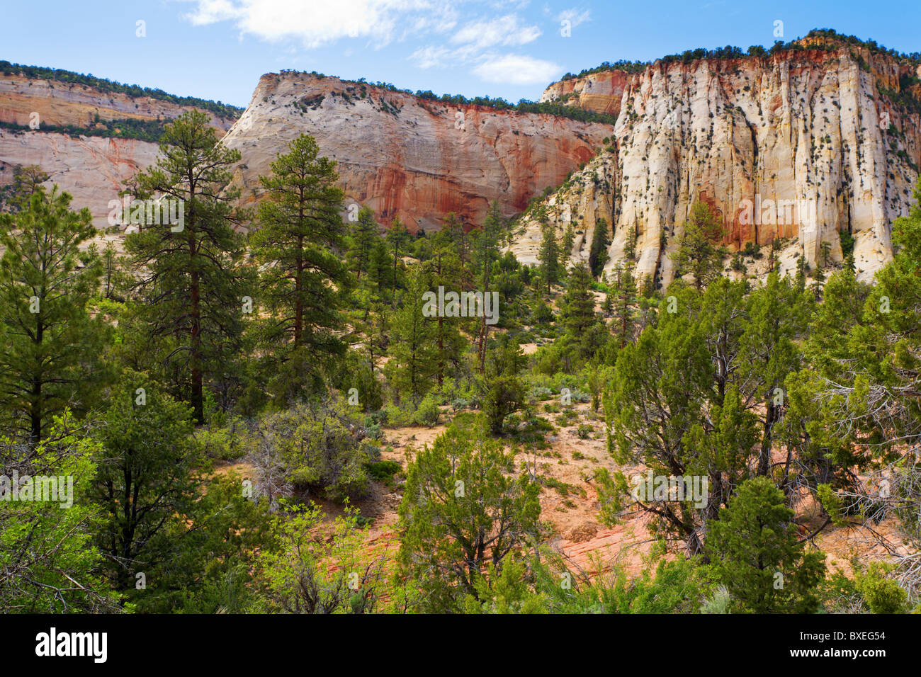 Zion erosion hi-res stock photography and images - Alamy