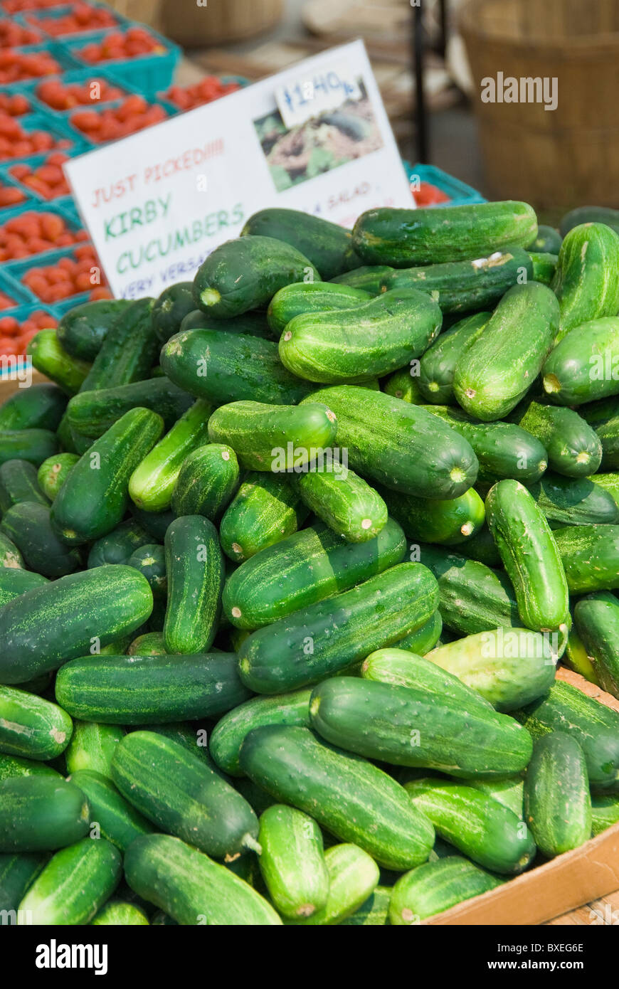 Cucumber display at farmer's market Stock Photo - Alamy