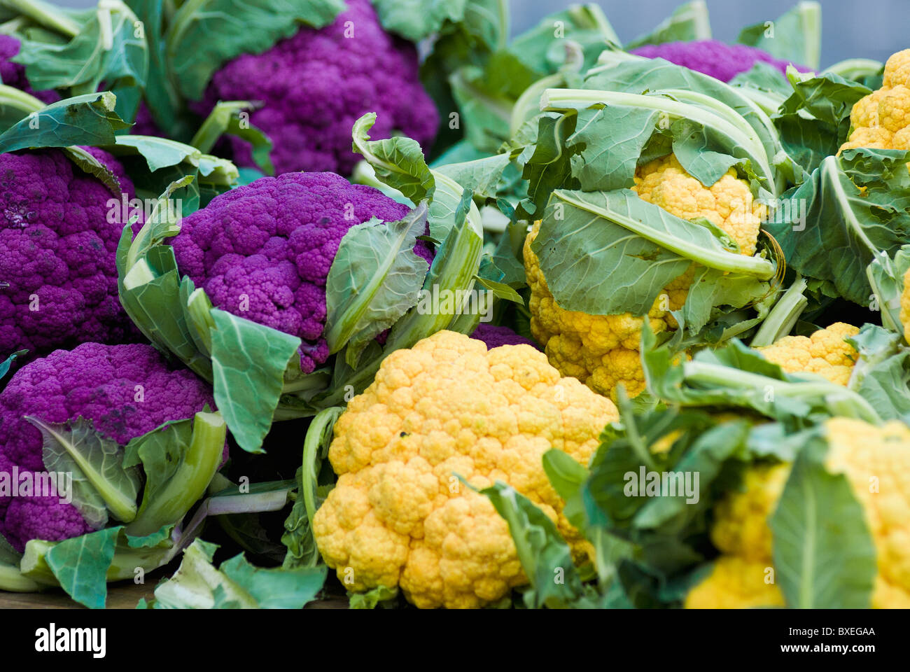 Cauliflower display at farmer's market Stock Photo - Alamy