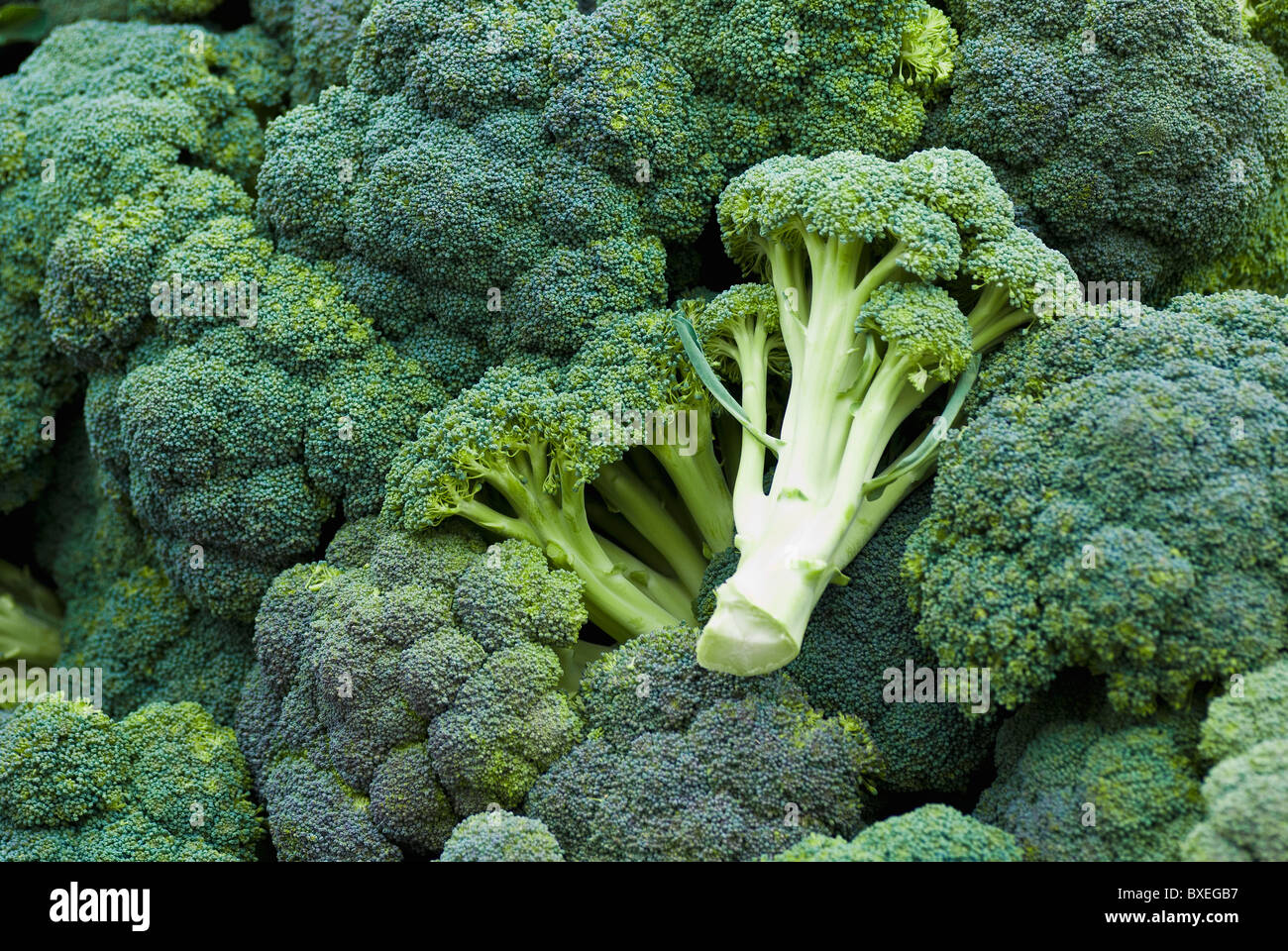 Pile of broccoli Stock Photo - Alamy