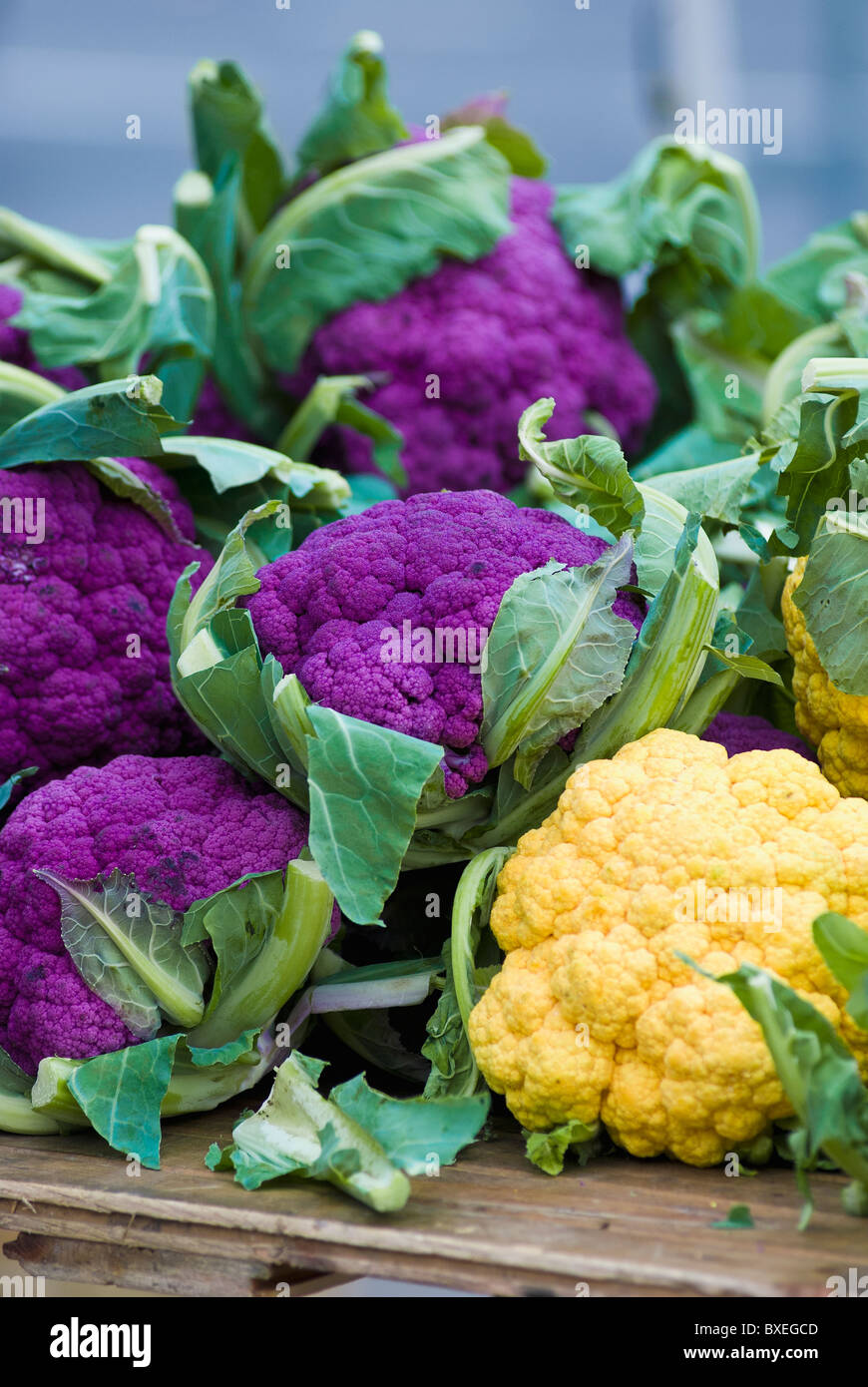Cauliflower on display at farmer's market Stock Photo - Alamy