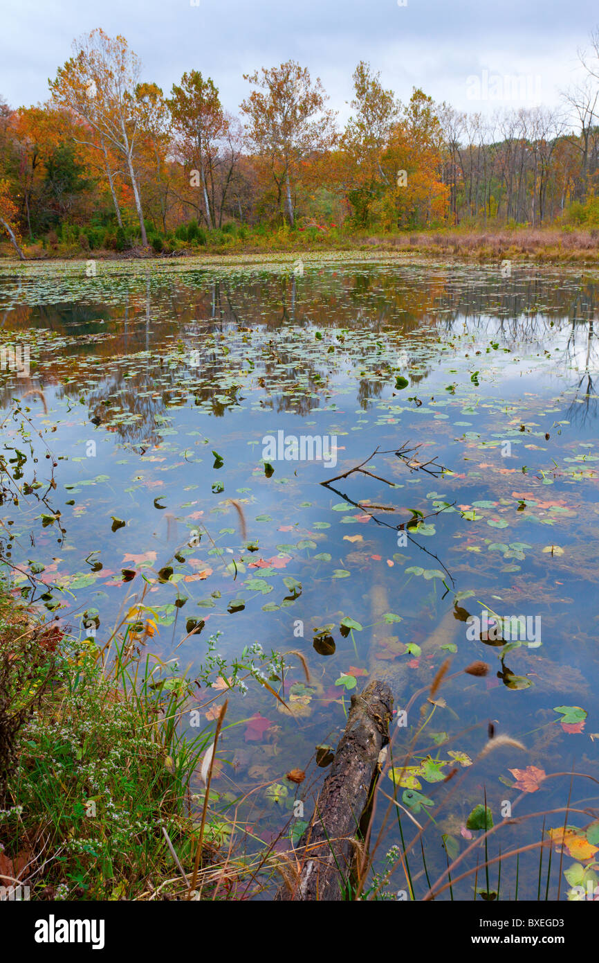 Brown color water fall hi-res stock photography and images - Alamy