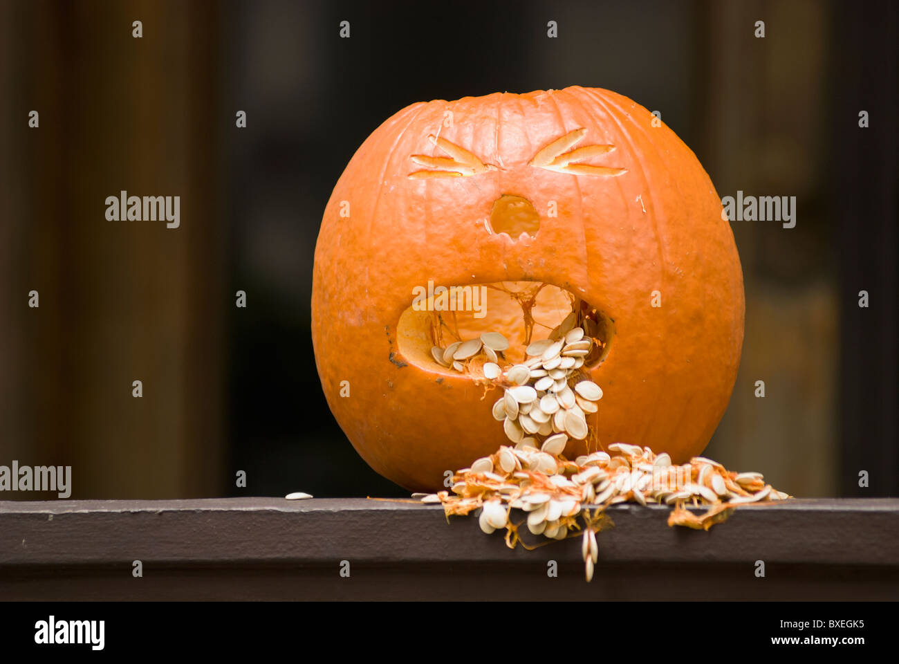 Vomiting halloween pumpkin hi-res stock photography and images - Alamy