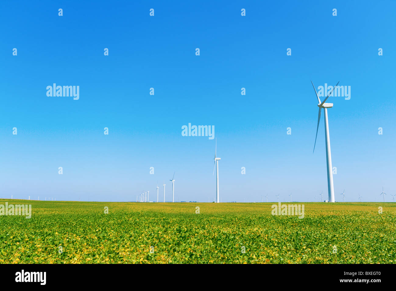 Wind turbines on a farm Stock Photo - Alamy