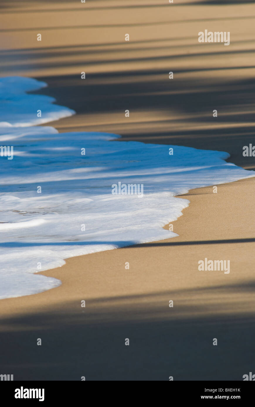 Tide on Caribbean beach Stock Photo - Alamy