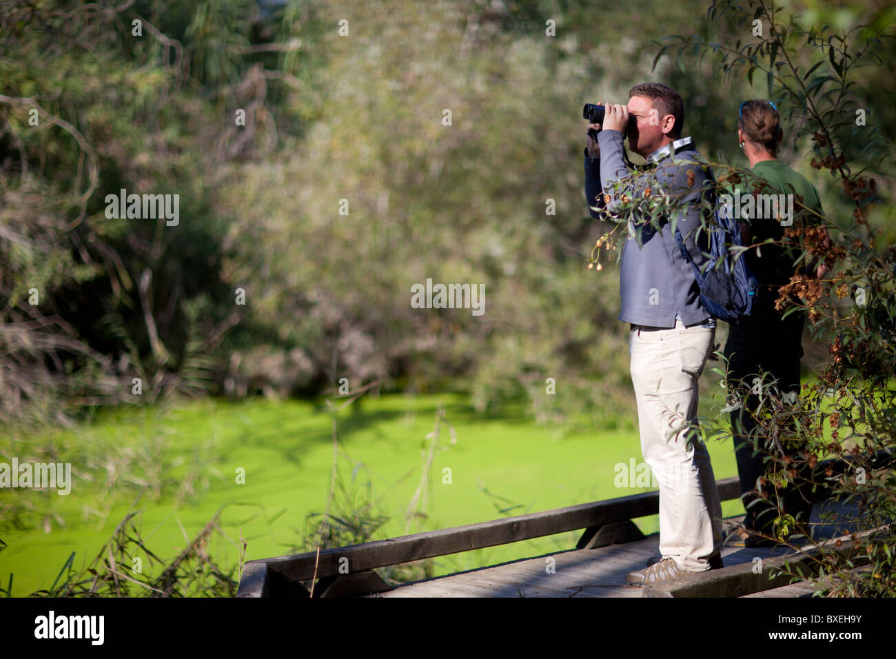 Sebes reserve Flix Ebro Catalonia Spain Stock Photo - Alamy