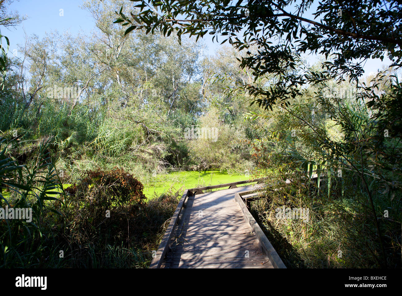 Sebes reserve Flix Ebro Catalonia Spain Stock Photo - Alamy